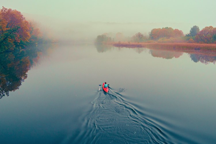 Things to do in Ann Arbor | The Vanguard Ann Arbor, Autograph Collection